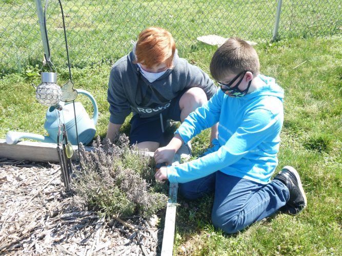 Spring Is About To Bloom at Wheeling Middle School | News, Sports, Jobs ...